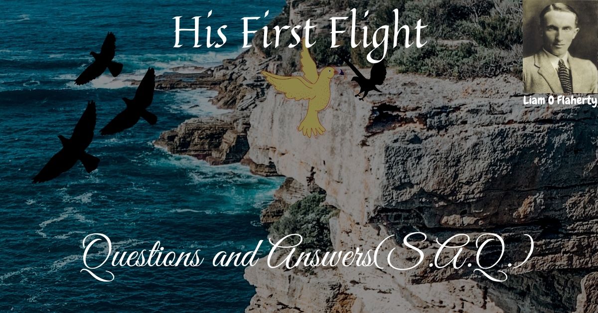 ‘His First Flight’ by Liam O’ Flaherty – Questions and Answers(S.A.Q ...