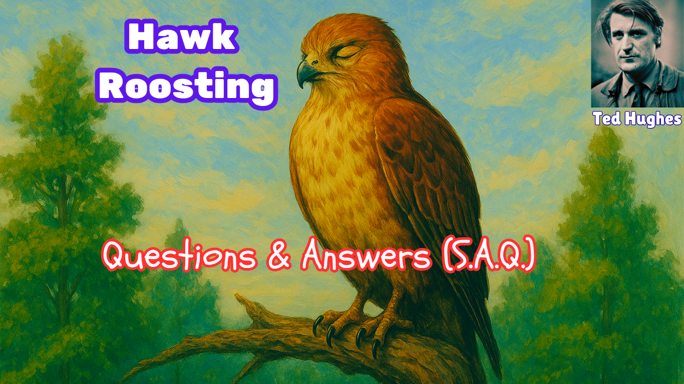 Hawk Roosting – Questions and Answers (S.A.Q.), Class 12, Semester IV ...